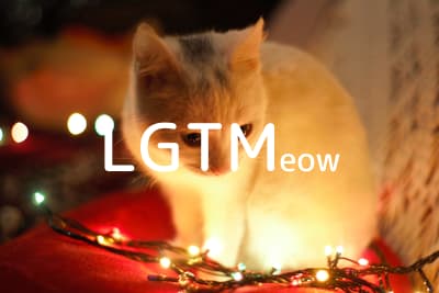 LGTMeow 猫好きのためのLGTM画像共有サービス