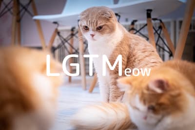 LGTMeow | LGTM image share service for cat lovers