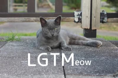 LGTMeow | 猫好きのためのLGTM画像作成・共有サービス