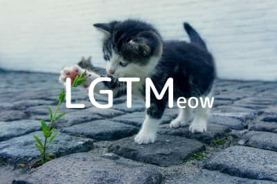 LGTMeow 猫好きのためのLGTM画像共有サービス