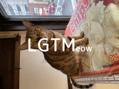 LGTMeow 猫好きのためのLGTM画像共有サービス