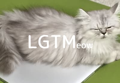 LGTMeow | LGTM image share service for cat lovers