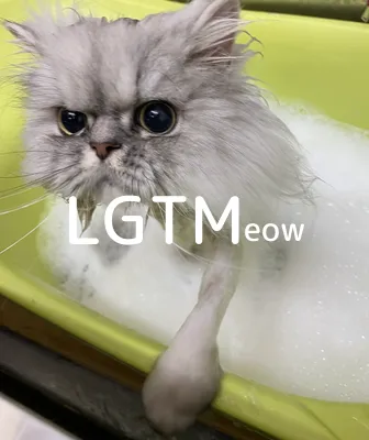 LGTMeow 猫好きのためのLGTM画像共有サービス