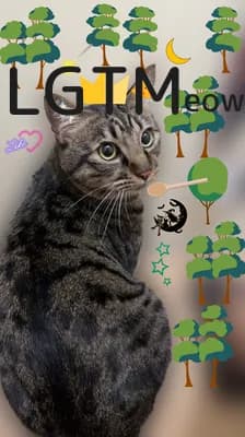 LGTMeow | 猫好きのためのLGTM画像作成・共有サービス