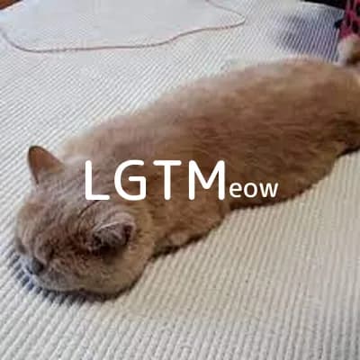 LGTMeow 猫好きのためのLGTM画像共有サービス